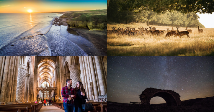 28 Things to Do in Durham - If You Dare! - This is Durham