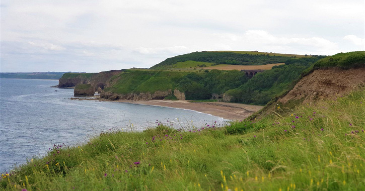 Must Visit Beaches in Durham - This is Durham