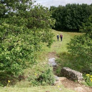 Bowlees Visitor Centre - This is Durham