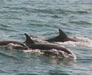 Explore the Durham Coast| Official visitor information website for Durham