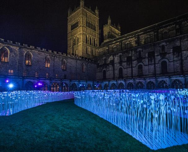 Lumiere Durham | UK's largest light festival returns in 2019