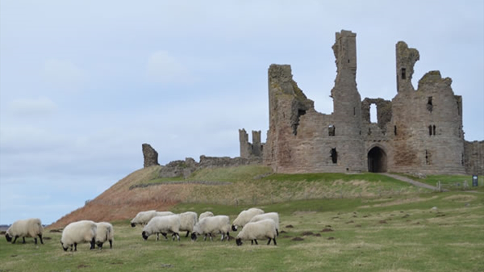 Attractions | Northern Saints Trails