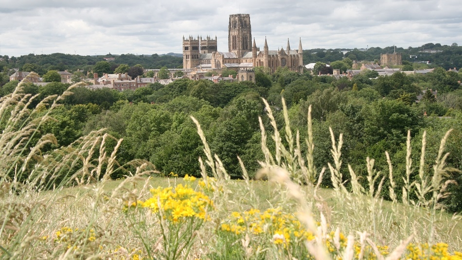 Mountjoy - Northern Saints