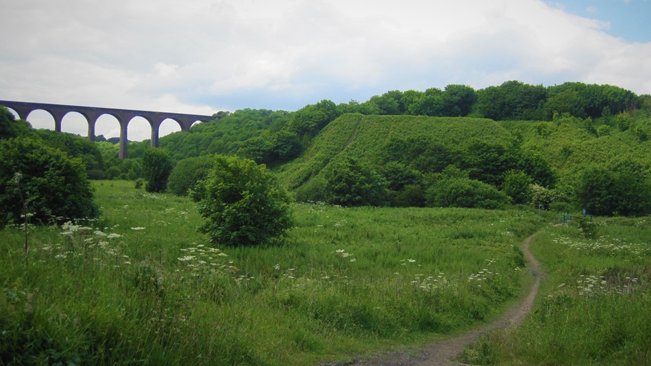 Castle Eden Dene National Nature Reserve - Northern Saints