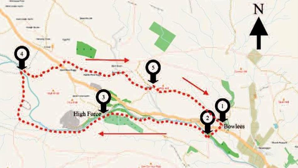 Walking in Teesdale - High Force and Upper Teesdale Circular - This is ...