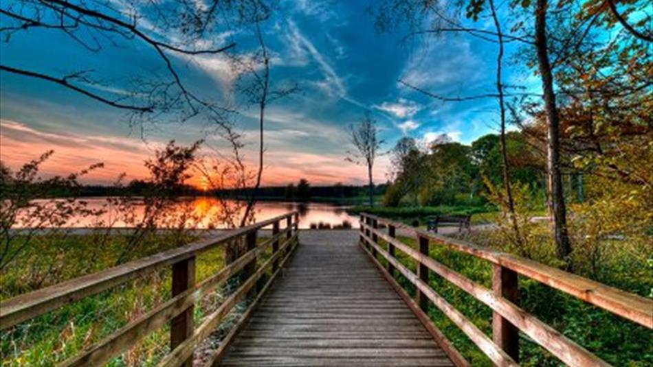 Hardwick Park Walking, Cycling and Horse Riding Routes - This is Durham