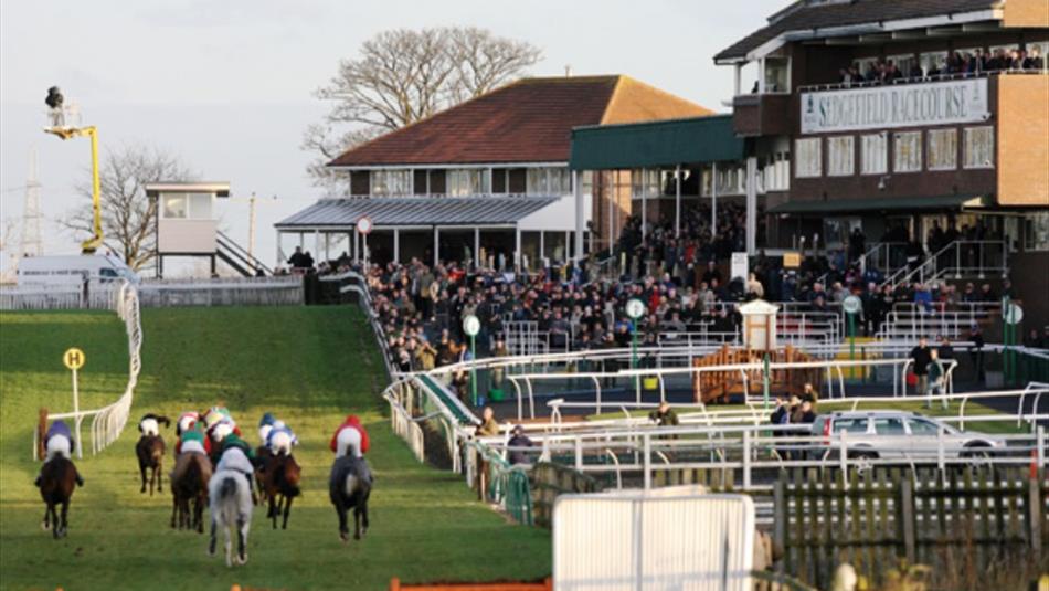 Sedgefield Racecourse - Attraction in Sedgefield, Sedgefield - This is ...