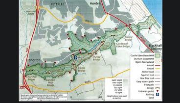Castle Eden Dene - The Yew Tree Walk - This is Durham